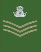 Lesotho Defence Force